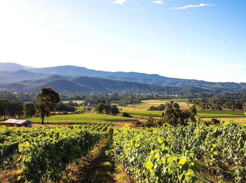 Explore Victoria's High Country & King Valley: A Scenic Adventure Awaits